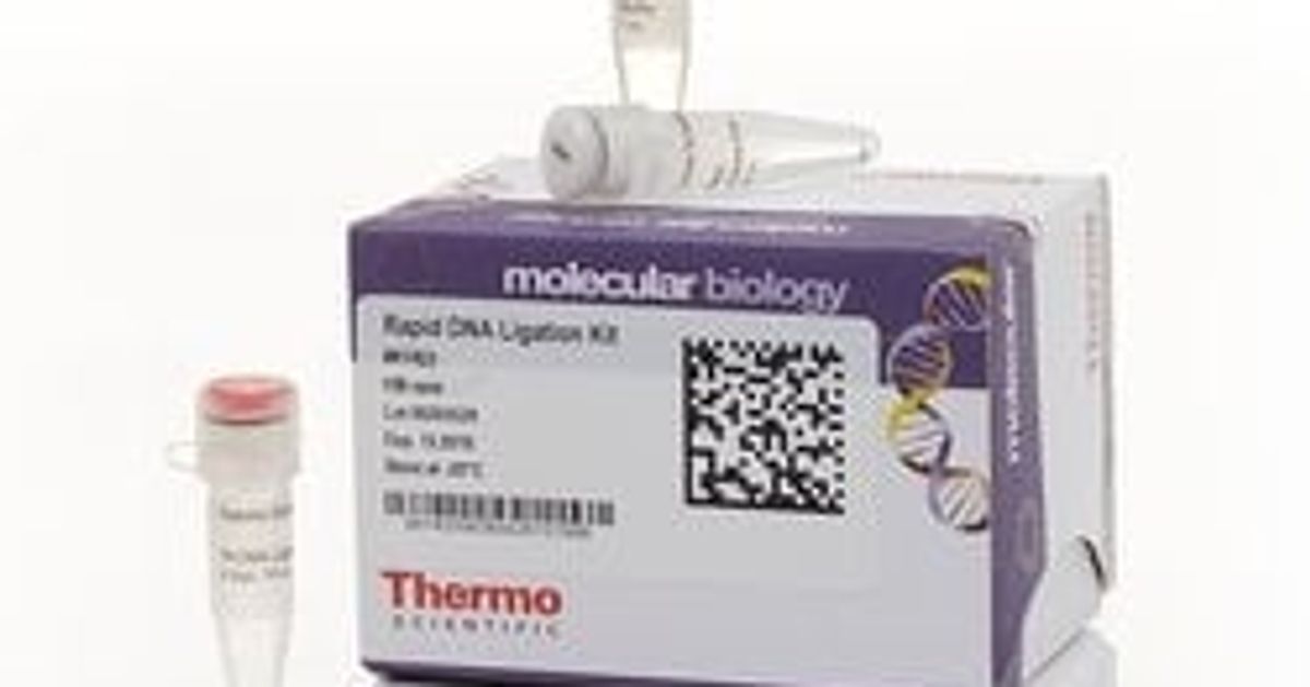 Thermo Scientific™ Rapid DNA Ligation Kit