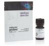 ProLong® Gold Antifade Mountant with DAPI - 10mL reviews