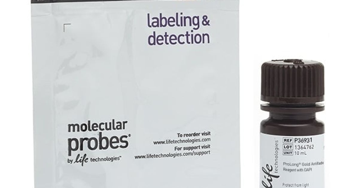 ProLong® Gold Antifade Mountant with DAPI - 10mL reviews