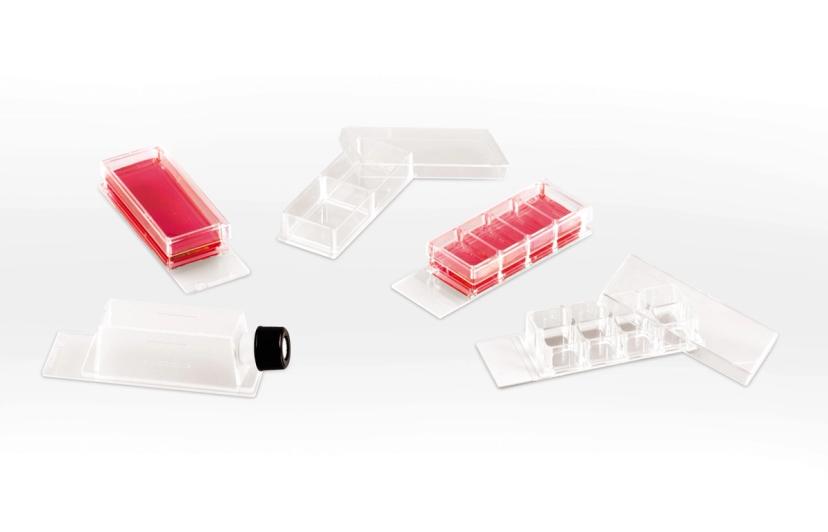 TC Inserts – Hanging Inserts For Tissue Culture Plates
