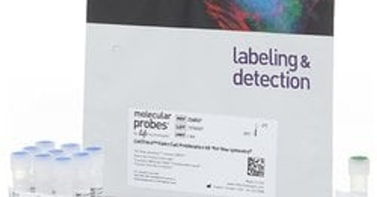 Invitrogen™ CellTrace™ Violet Cell Proliferation Kit reviews