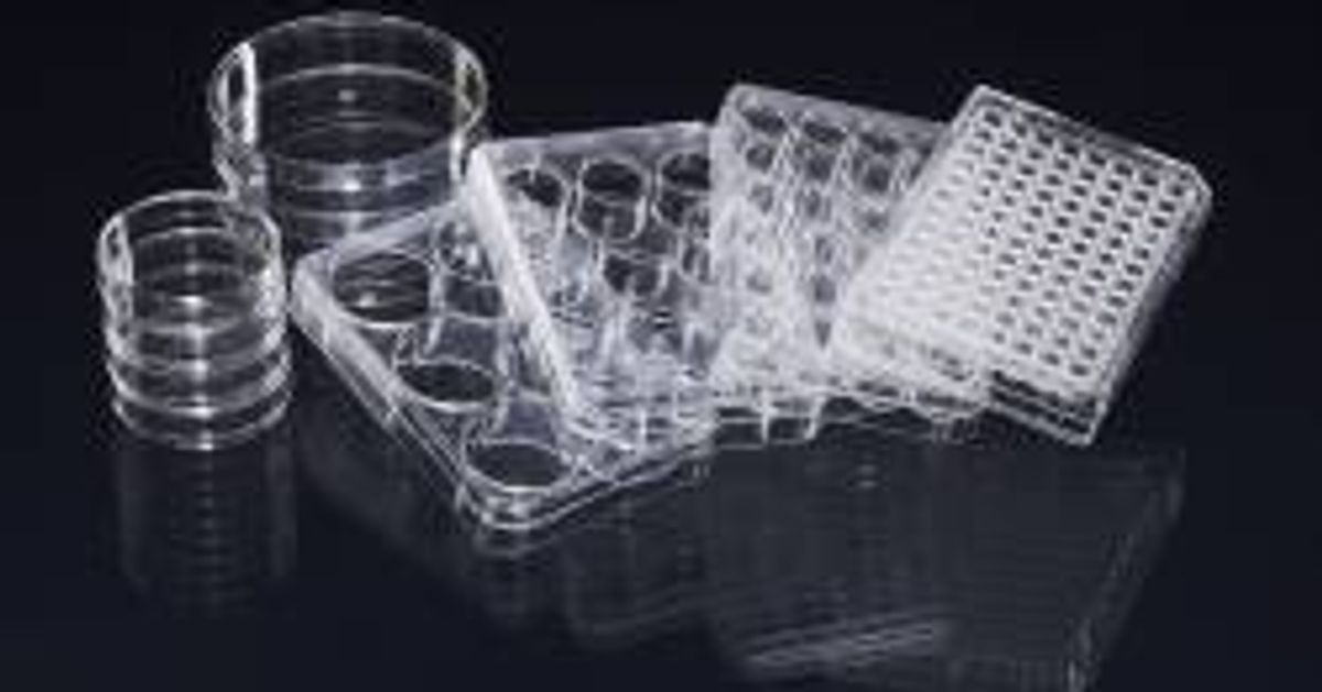 Buy NUNC™ Low Cell Binding Dishes and Plates Read Reviews