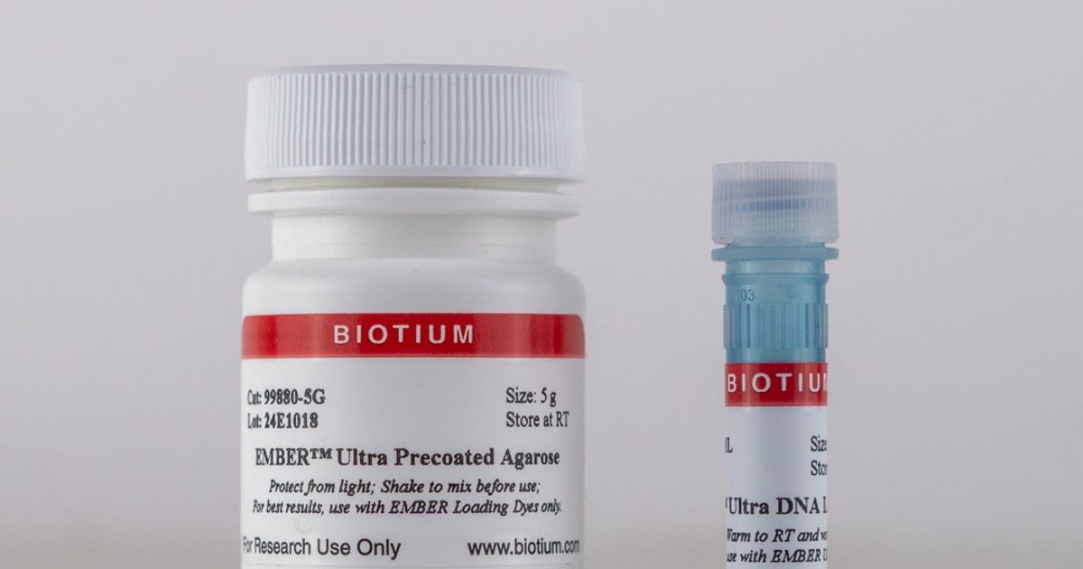 EMBER™ Ultra DNA Gel Kit