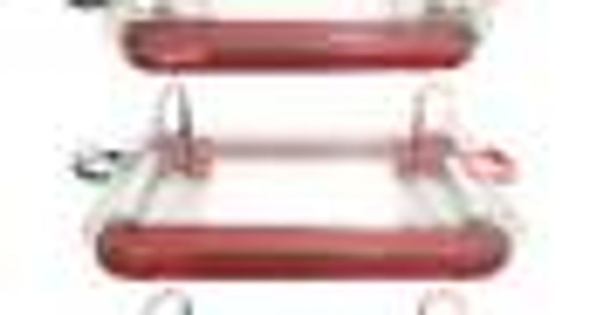 Hoefer Horizontal Submarine Gel Electrophoresis | SelectScience