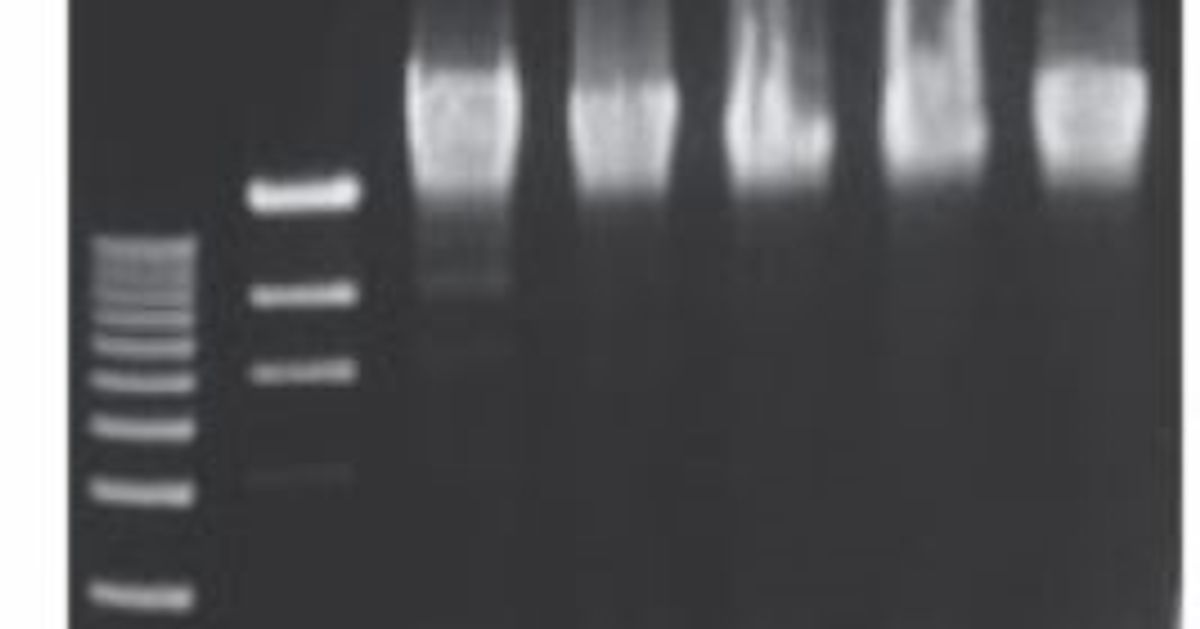 Fast-Link™ DNA Ligation Kit reviews
