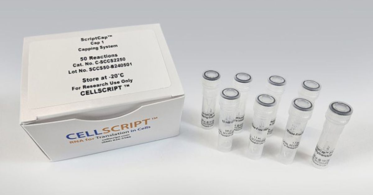 ScriptCap™ Cap 1 Capping System reviews