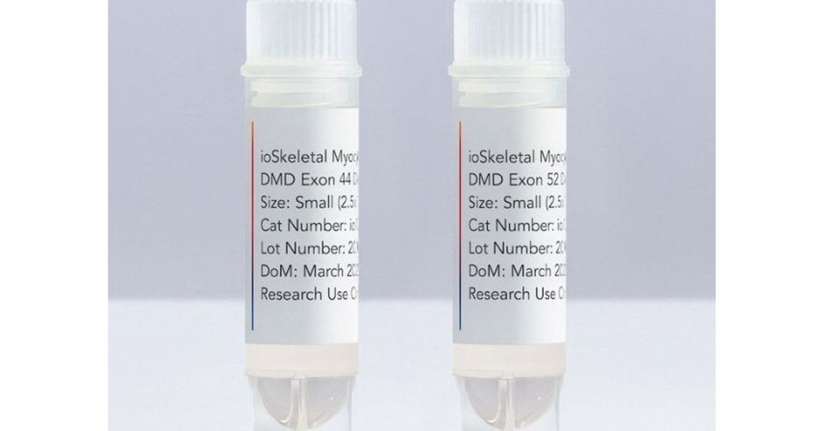 ioSkeletal Myocytes DMD Exon Deletion disease models - Human iPSC ...