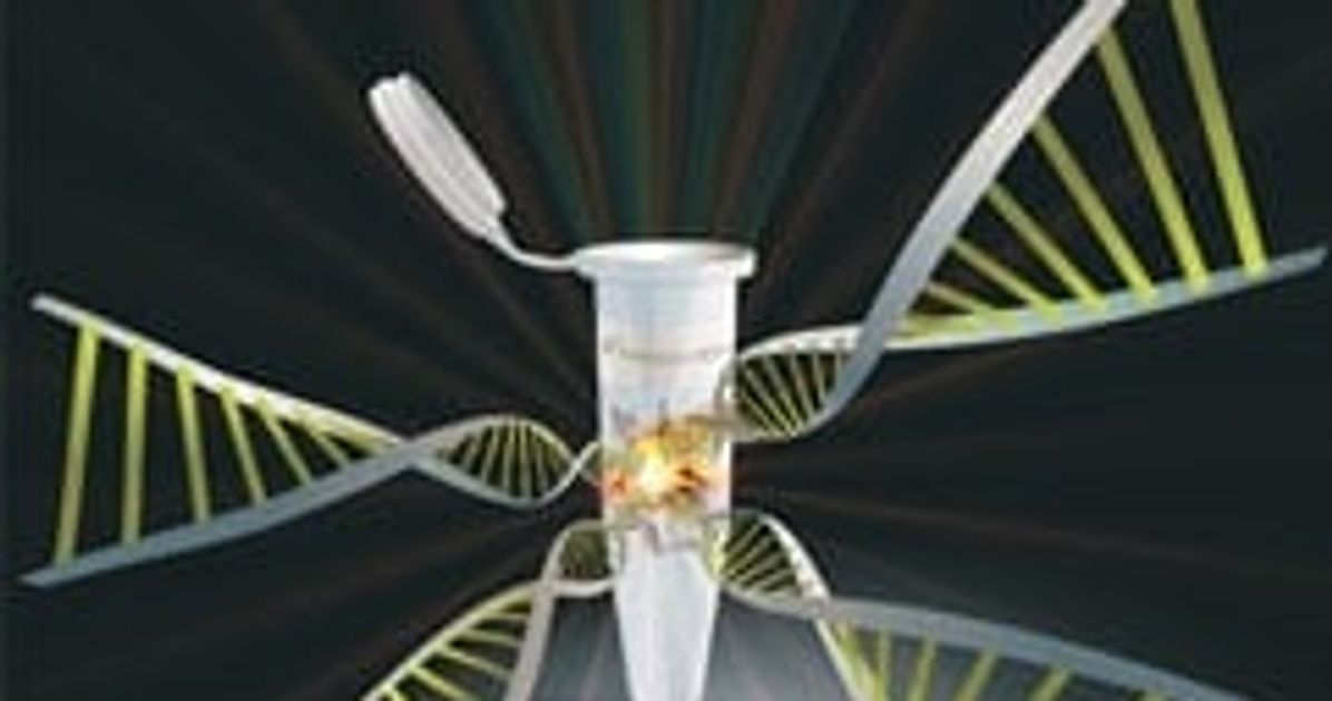 KAPA Express Extract Kits reviews