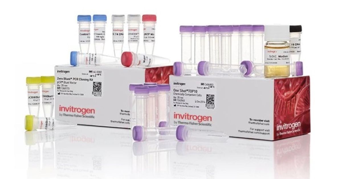 Zero Blunt™ PCR Cloning Kit