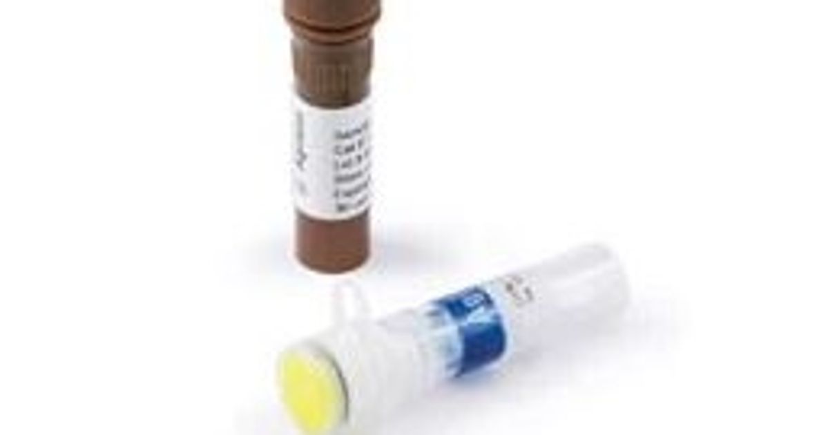 High Sensitivity DNA ScreenTape Analysis