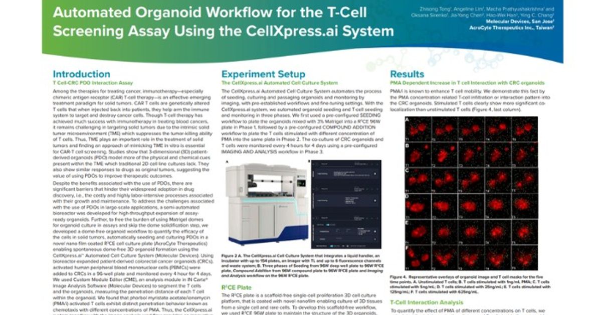 Automated organoid workflow for T-cell screening assay