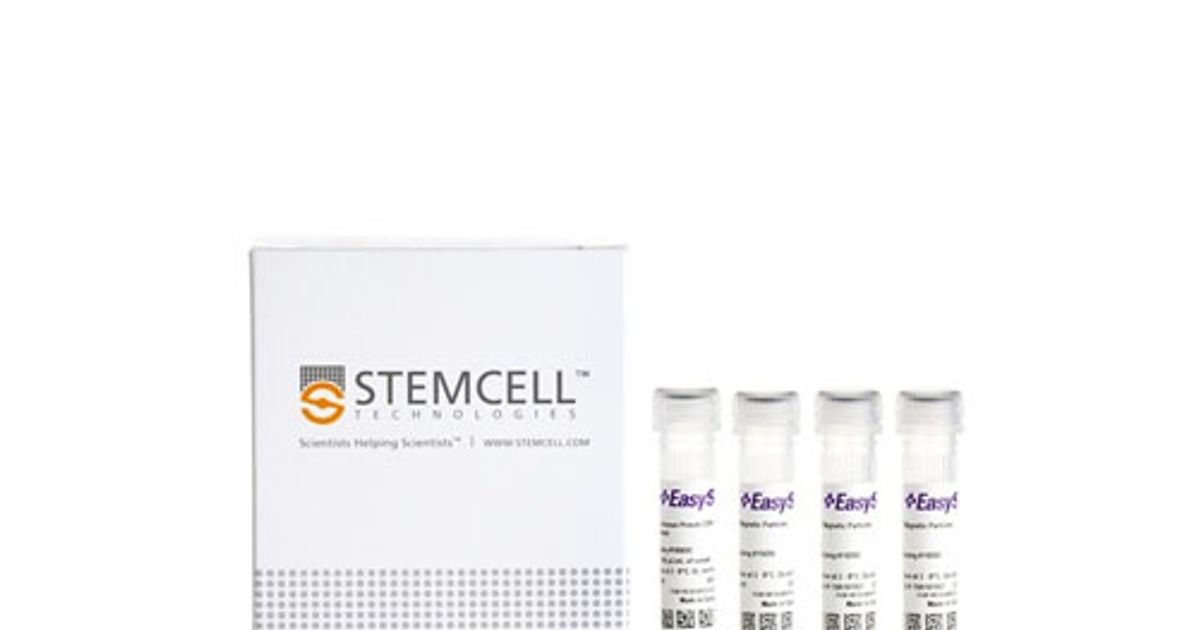 EasySep™ Non-Human Primate CD8+ T Cell Isolation Kit