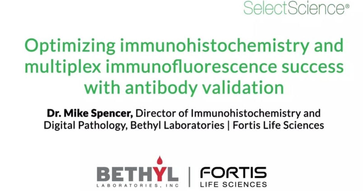 Optimizing immunohistochemistry and multiplex immunofluorescence success with antibody validation