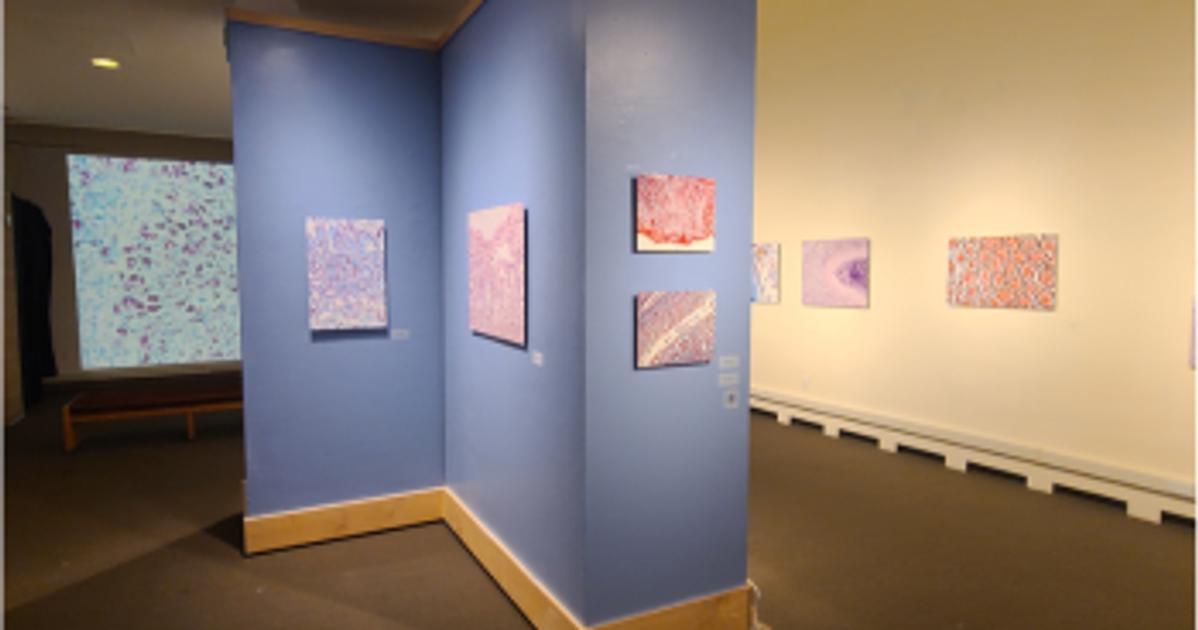 High-resolution imaging leads the way in forensic pathology