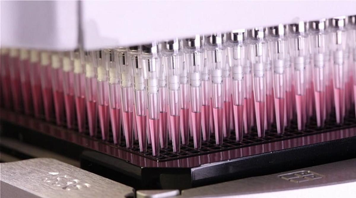 How to Use the INTEGRA Biosciences 1536-Well Plate Holder with VIAFLO ...