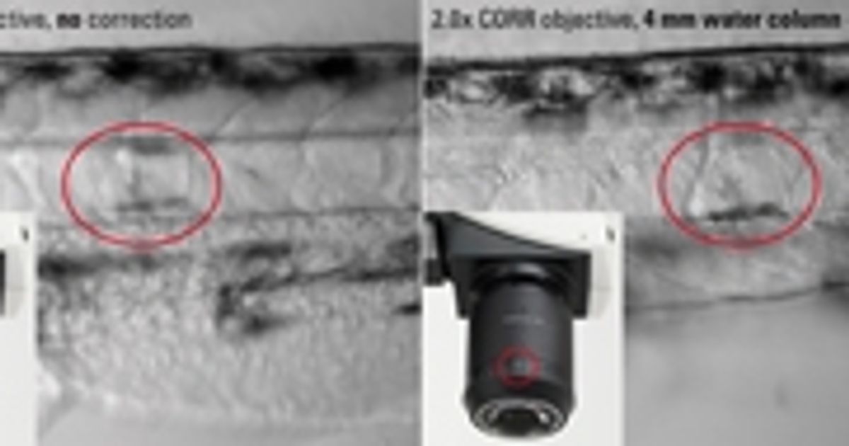 Leica Microsystems Introduces Stereo Microscope Objective for Imaging ...