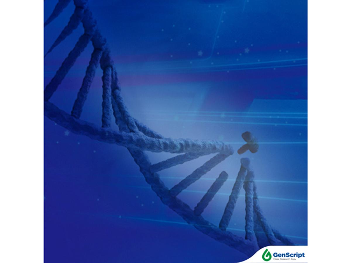 GenScript Products, Equipment and Reviews