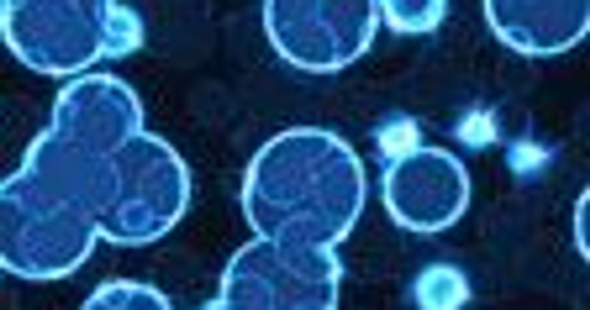 Biotechnology Company Partec Wins Red Dot Product Design Award Biotechnology Company Partec Wins Red Dot Product Design Award