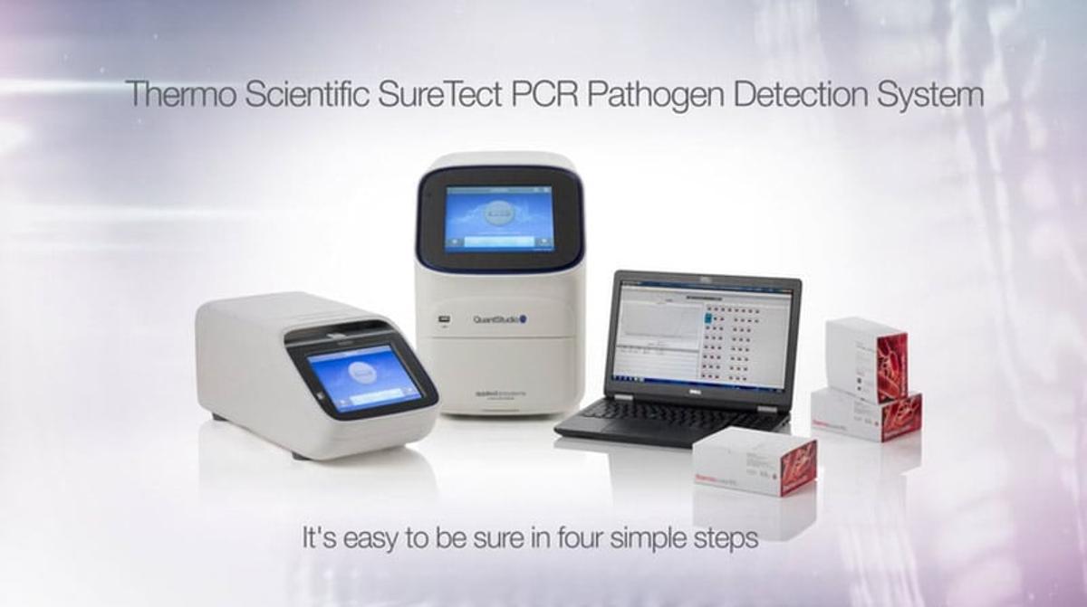 Thermo Scientific™ RapidFinder™ Salmonella Species, Typhimurium and ...