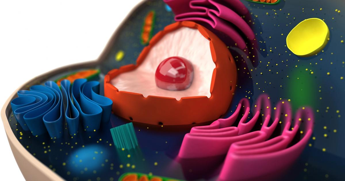 The Latest Cell Biology News, Techniques and Technology