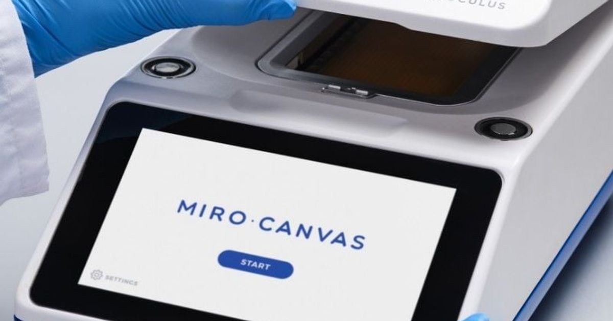 Buy MIRO CANVAS Read Reviews
