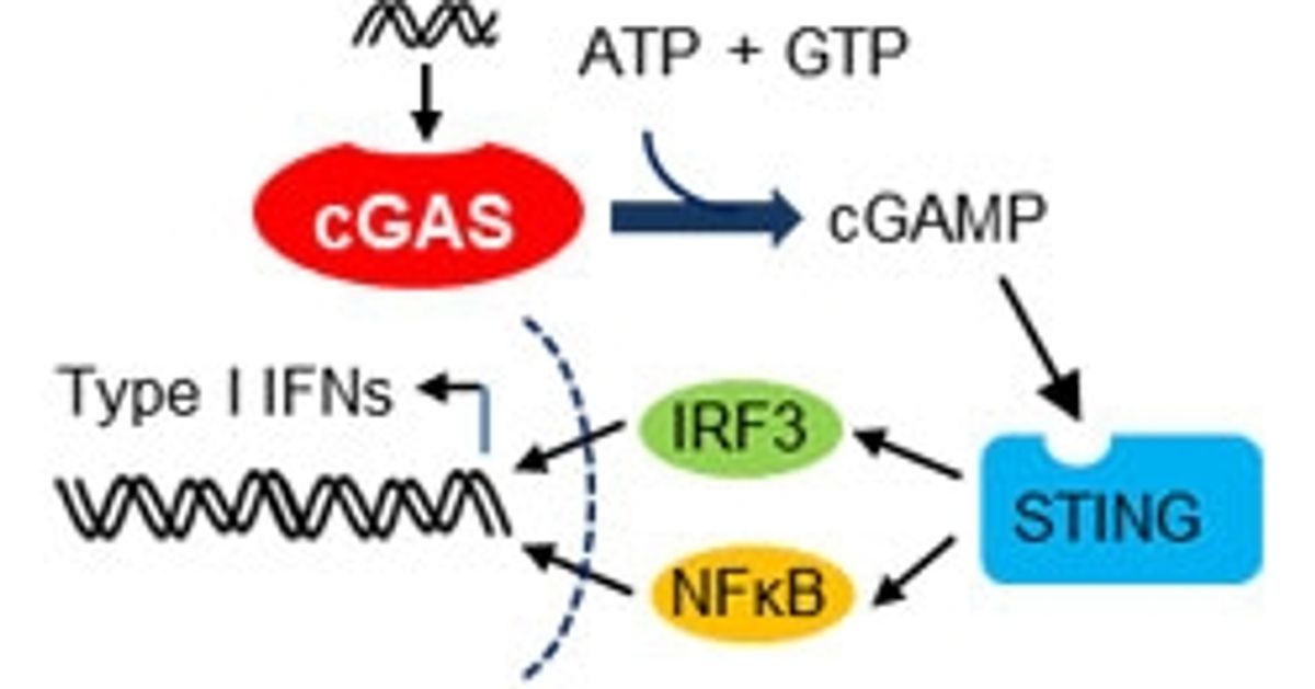 BellBrook Labs Awarded NIH Grant to Develop a High Throughput cGAS ...