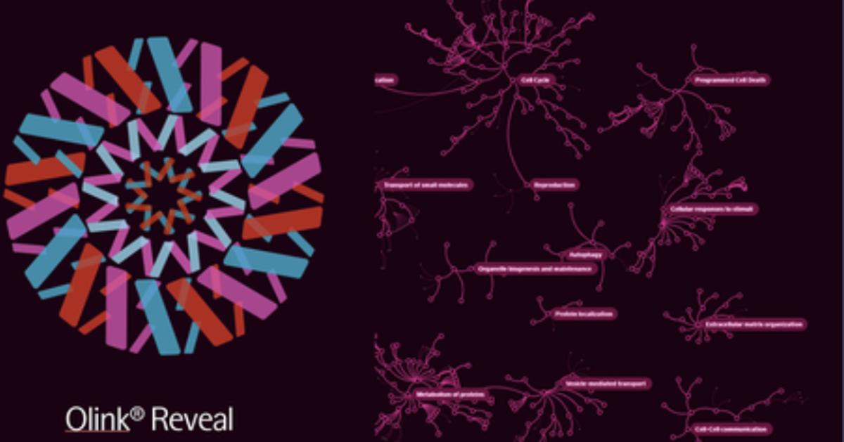 Olink reveal seamlessly connects genomics and proteomics, empowering ...