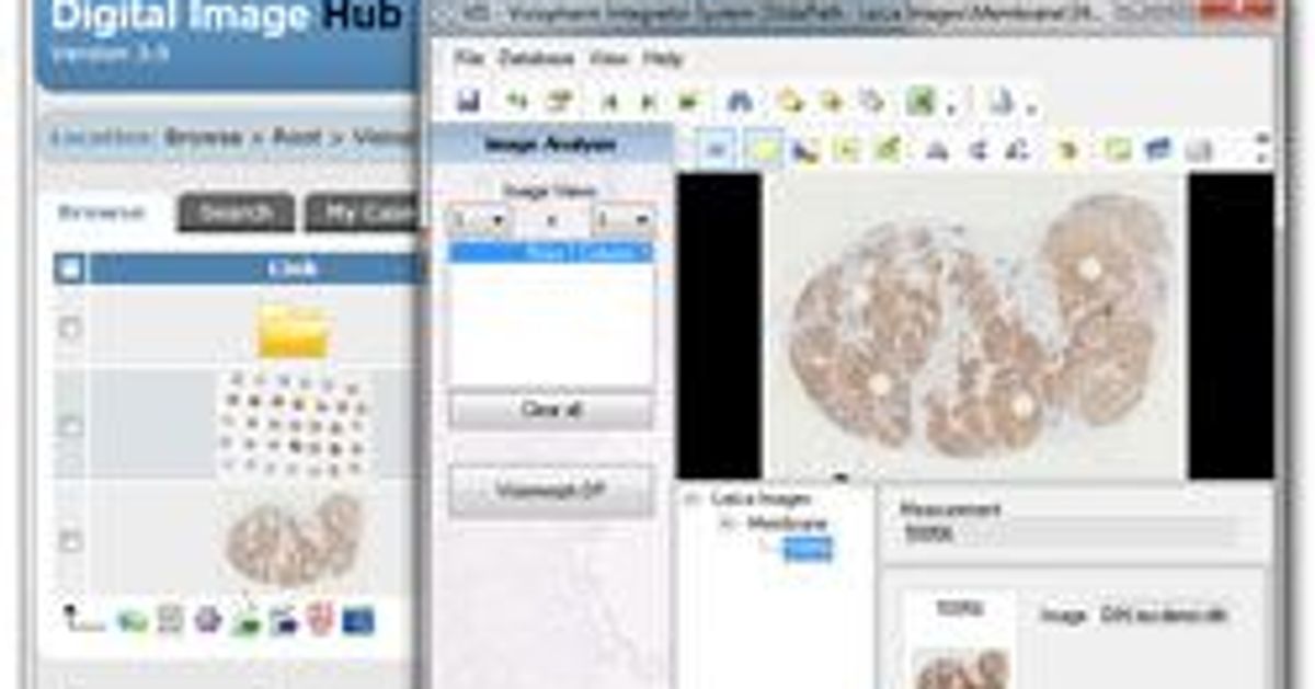 New Software Enables Comprehensive Digital Pathology Scanning and Analysis