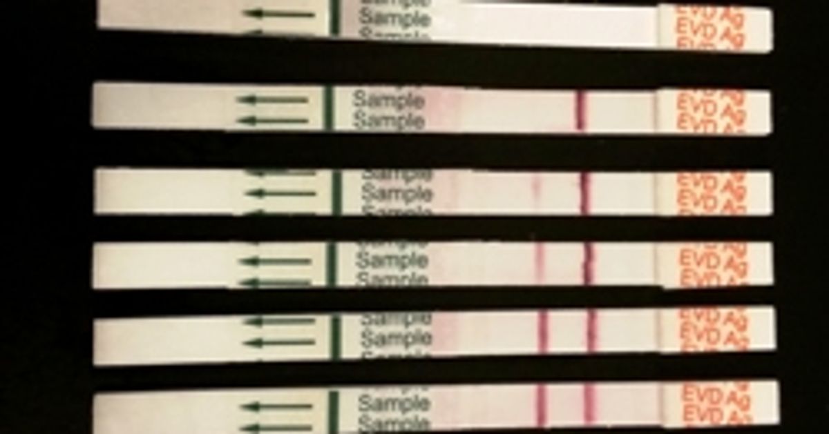 Corgenix Receives FDA Authorization and WHO Listing for Emergency Use ...