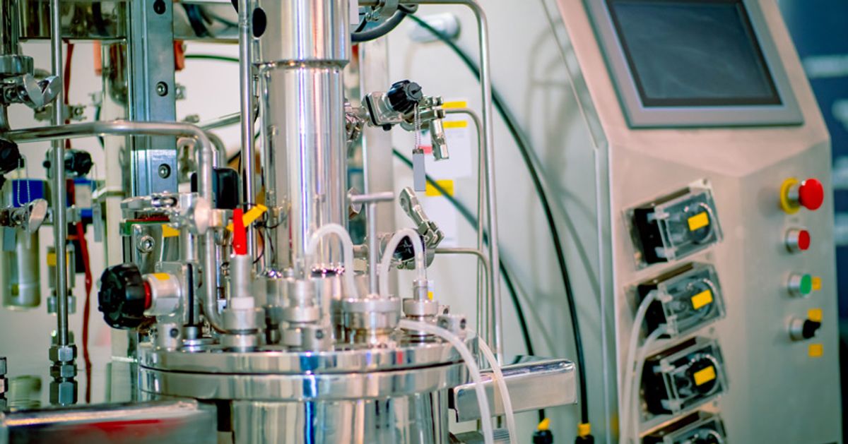 Buy Large-Scale Protein Production Service Read Reviews