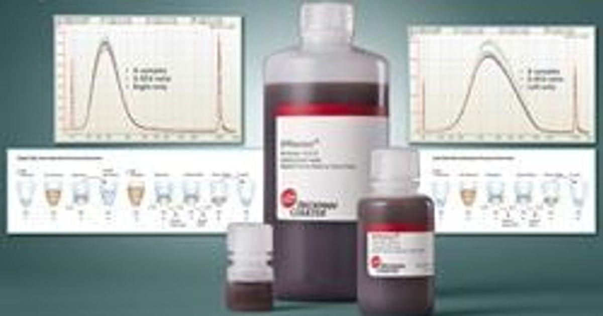 SPRIselect Reagent Kit for DNA Size Selection reviews