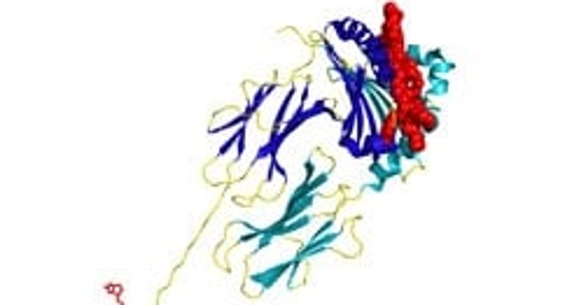 ProImmune Introduces ProM2™ Human Class II MHC Monomer Reagents to ...