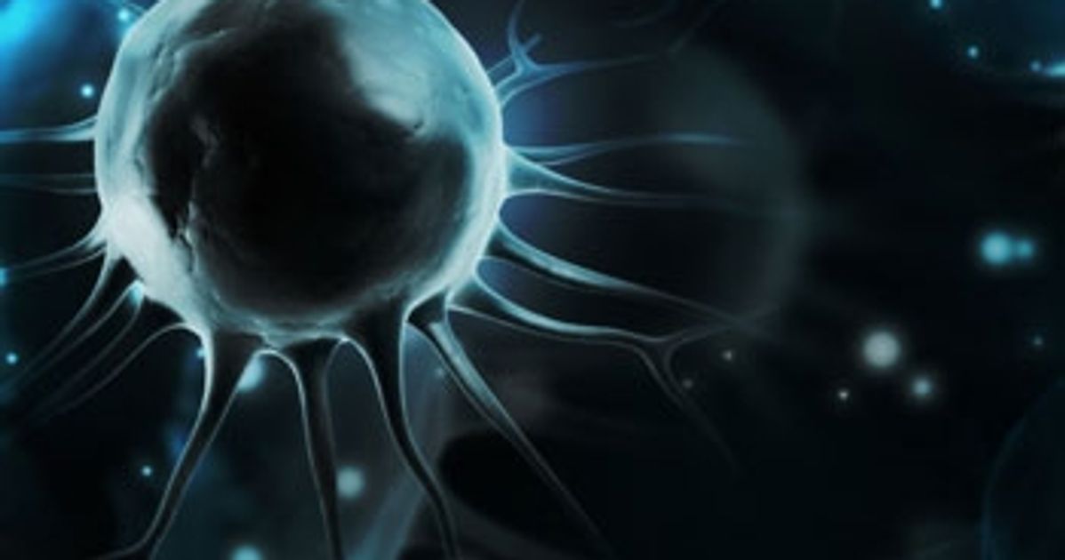 FDA approves new treatment option for patients with HER2-positive ...