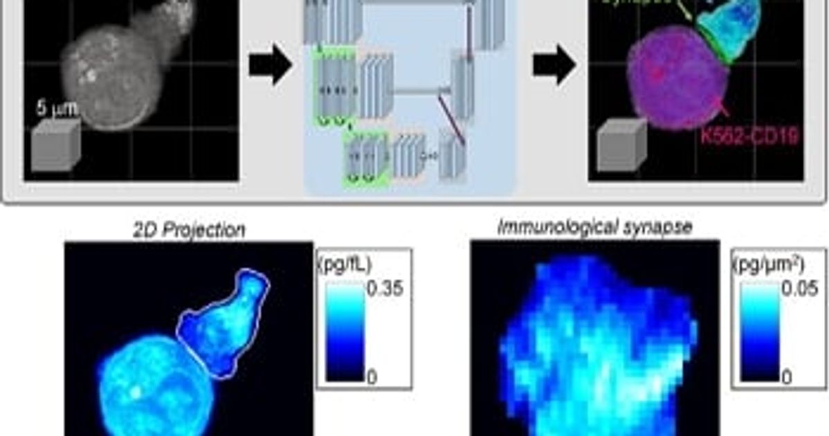 Tomocube Holotomography Microscopy and Deep-Learning Network Unlock ...