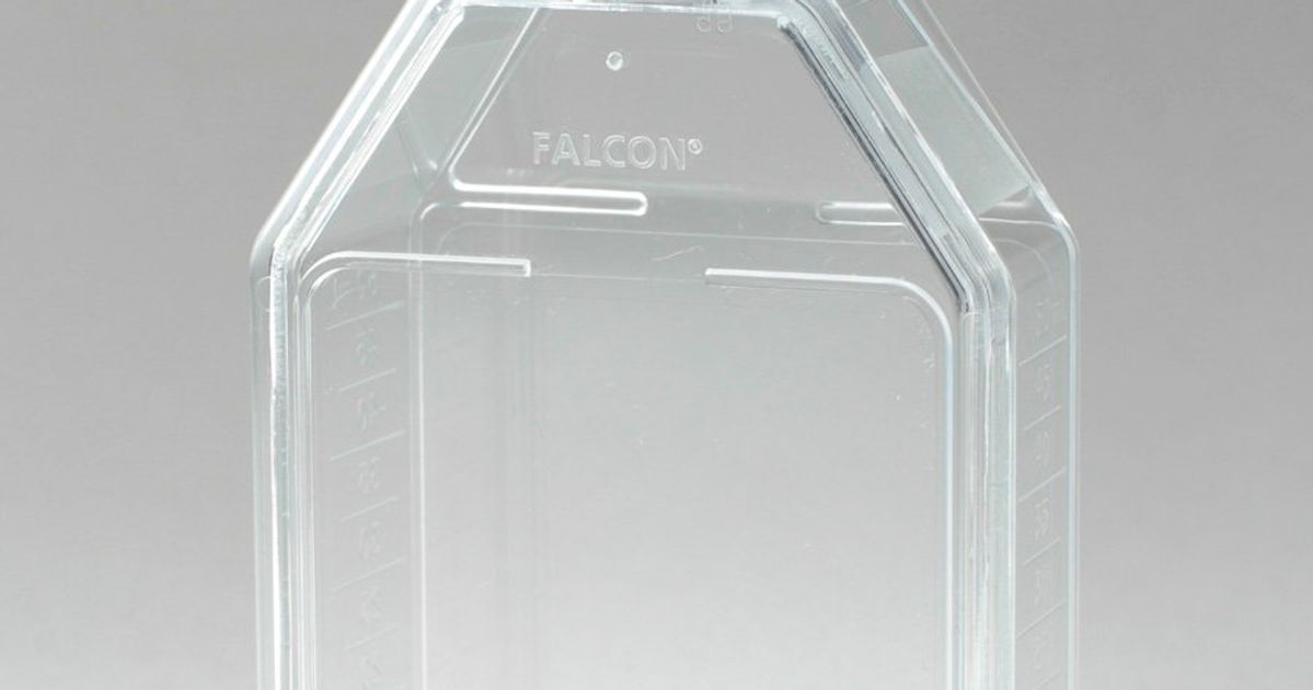 Falcon® 25cm² Rectangular Canted Neck Cell Culture Flask with Vented ...