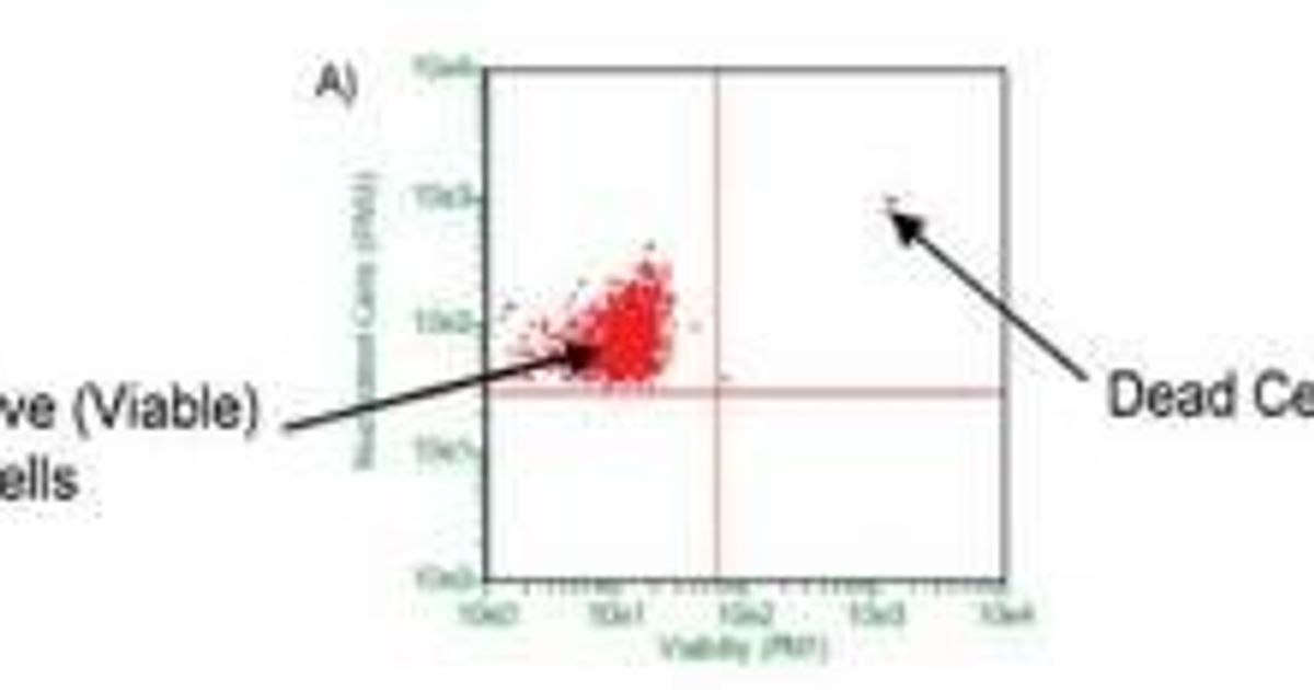 Robust & Reliable Stem Cell Viability Testing