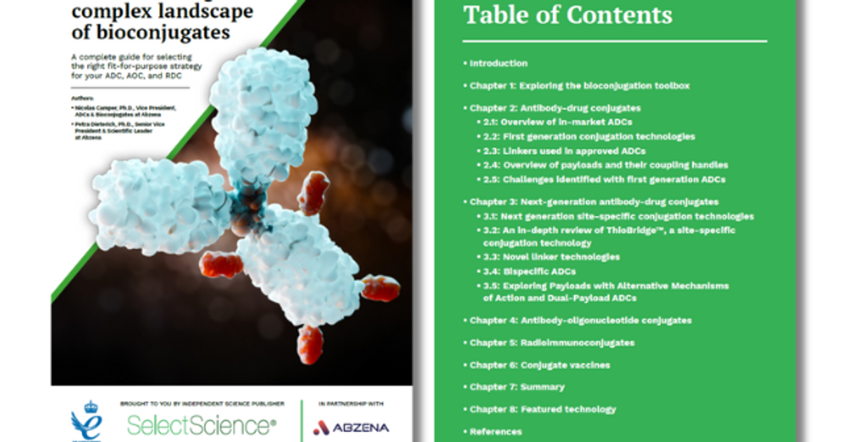 Understanding the complex landscape of bioconjugates