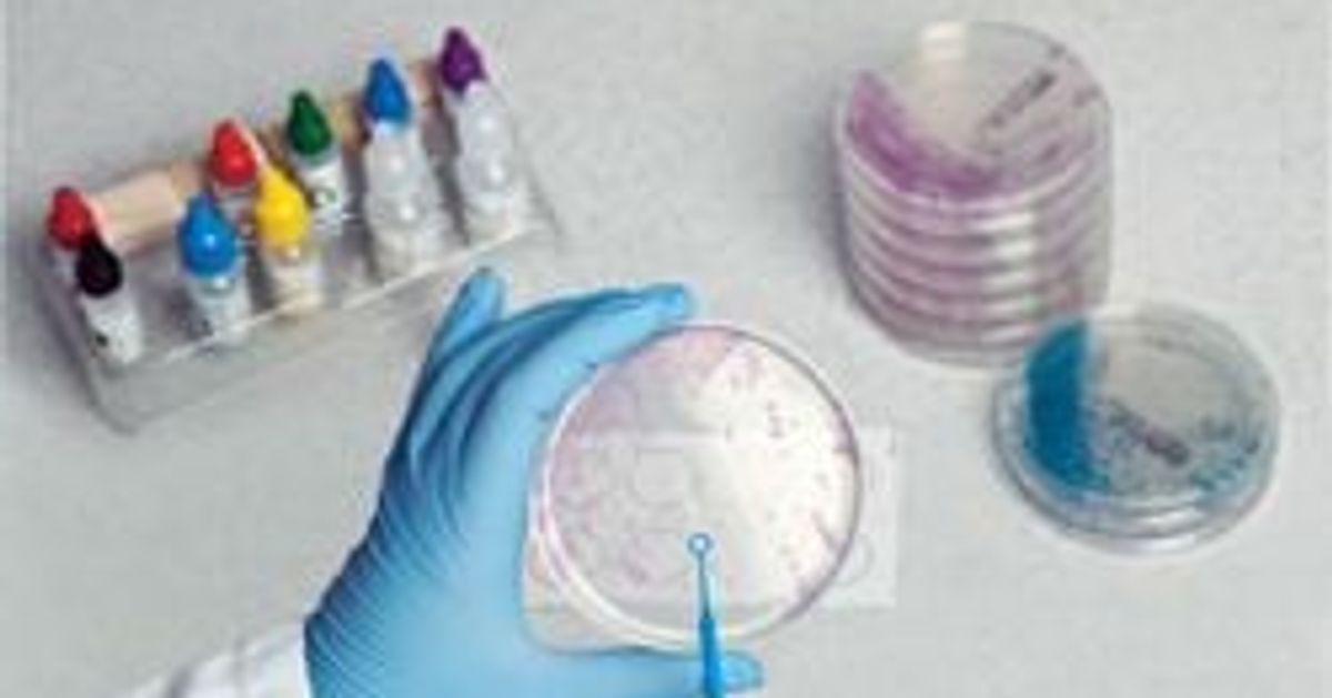 Thermo Scientific GBS Agar Base