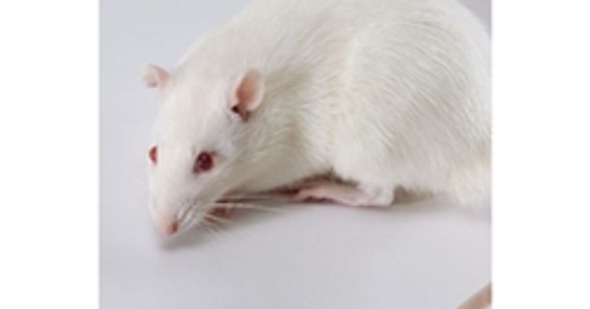 Prkdc Knockout Rat reviews