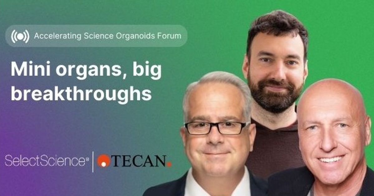 Mini organs, big breakthroughs: Scaling organoids for next-generation ...