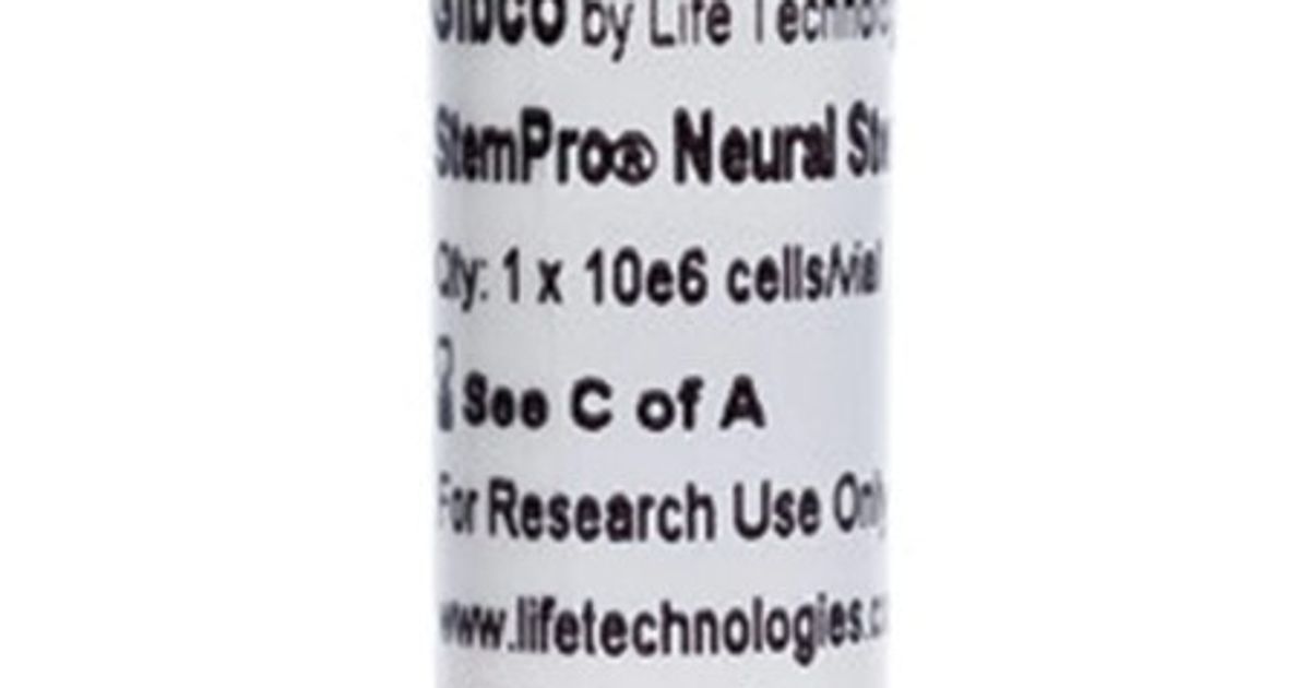 Buy StemPro™ Neural Stem Cells Read Reviews