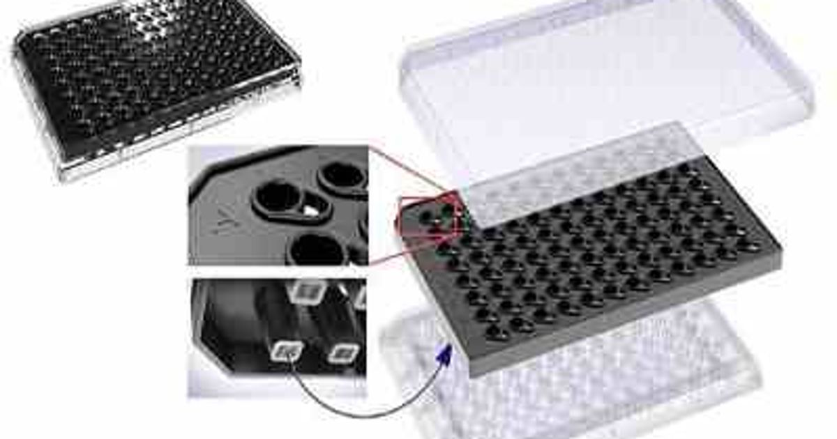 Incucyte ClearView 96-Well Chemotaxis Plate reviews