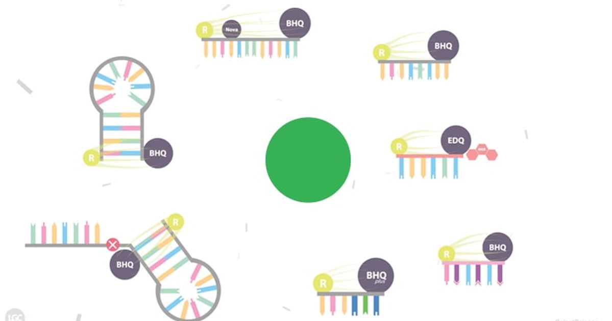 7 innovative qPCR probe types explained