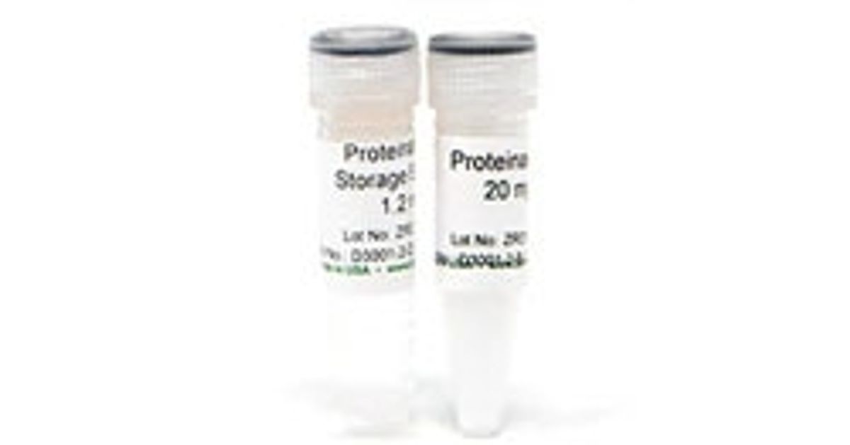 Proteinase K w/ Storage Buffer Set