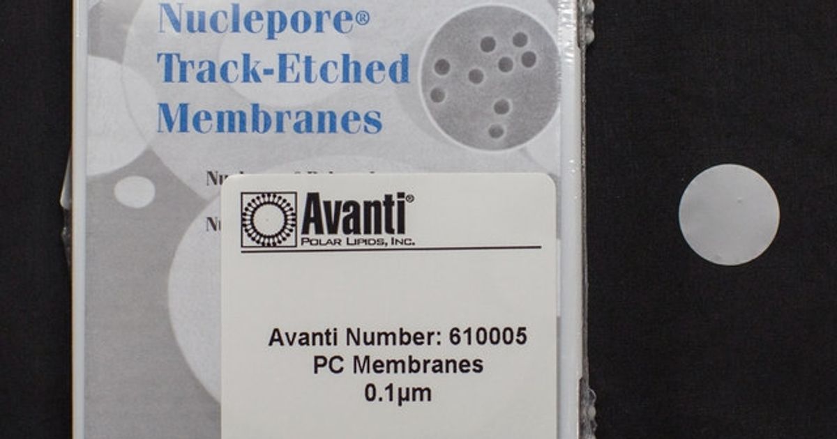 Avanti® Polar Lipids PC Membranes 0.1um