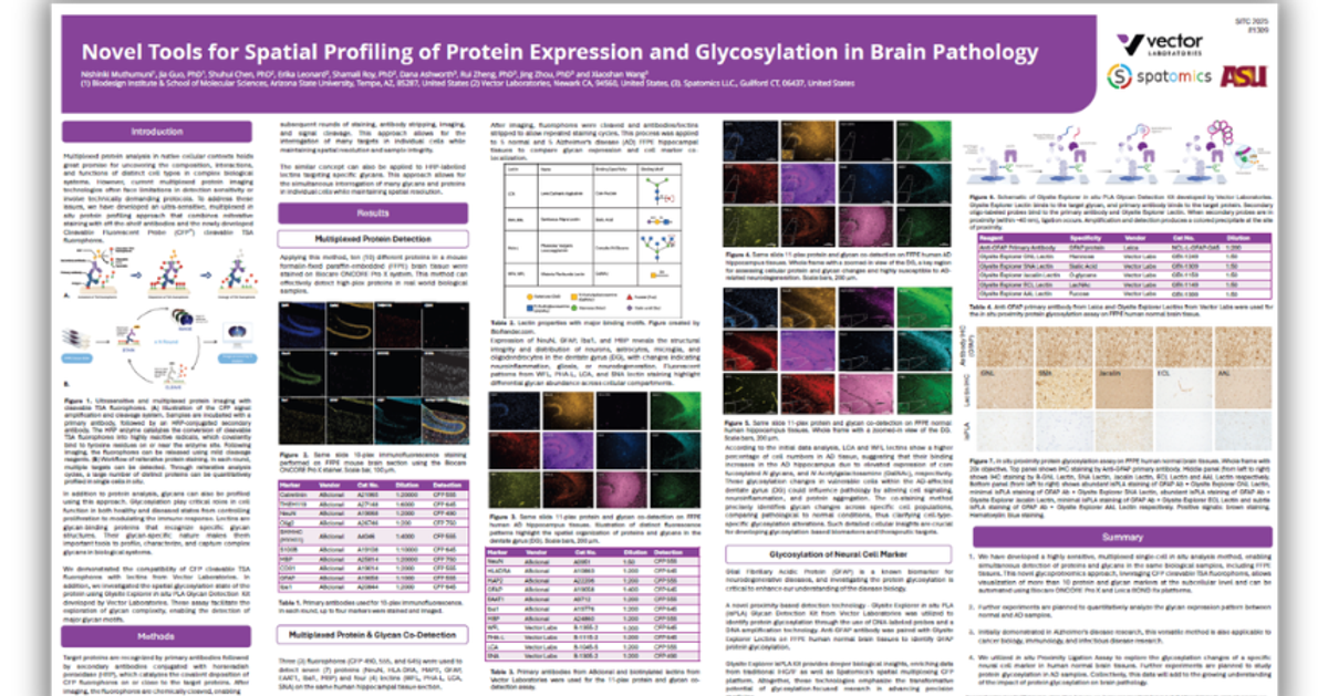 Novel tools for spatial profiling of protein expression and ...