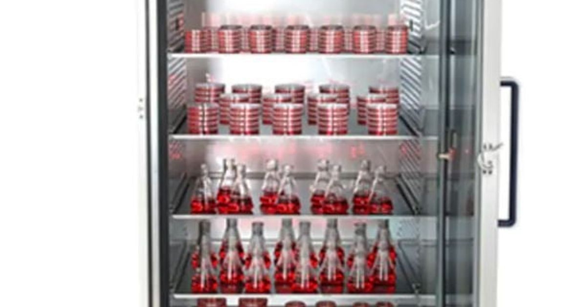 Thermo Scientific™ Reach-In Environmental Chamber