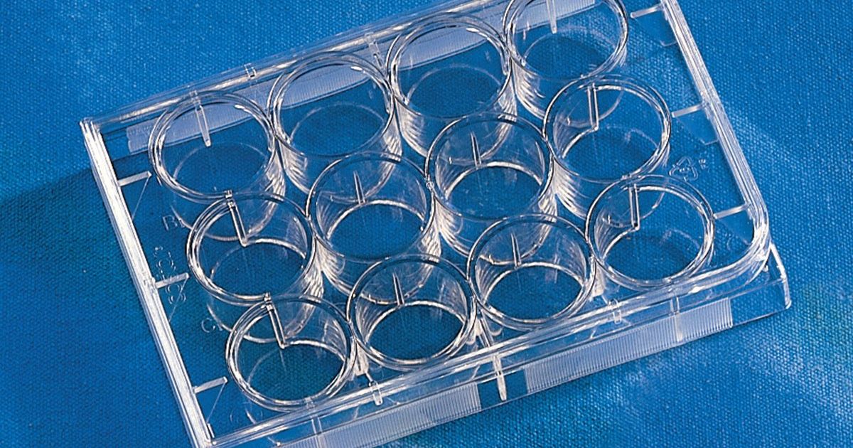 Costar® 12-well Clear TC-treated Multiple Well Plates, Individually ...