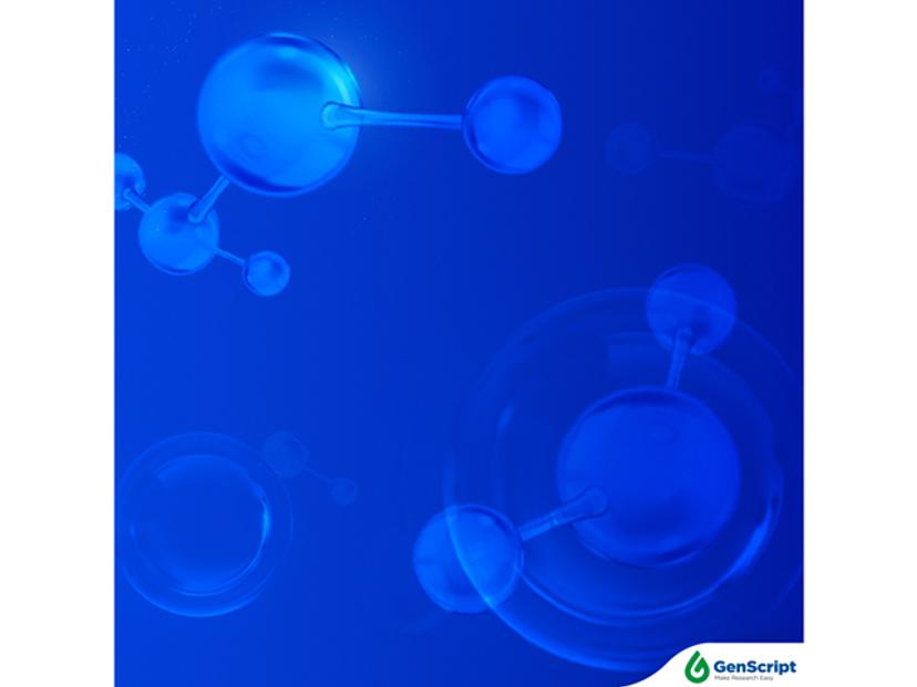 GenScript Products, Equipment and Reviews