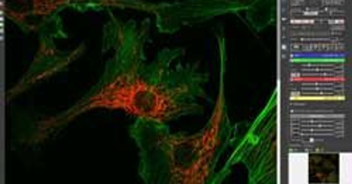 Nikon Launches Powerful NIS-Elements Imaging Software Upgrade